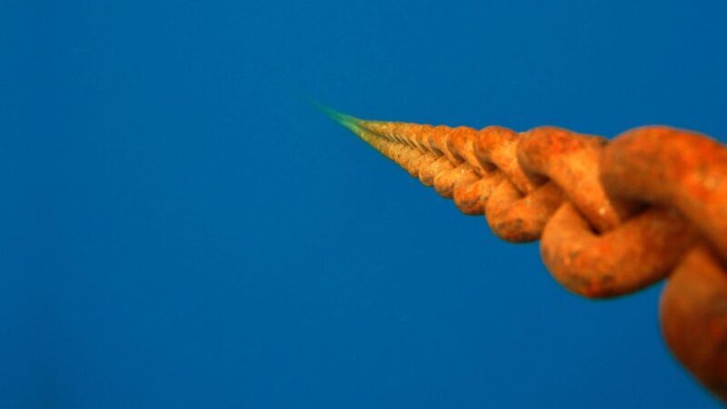 Scuba Diving Tour with Transfer From Alanya and city of Side - What to Expect from the Tour