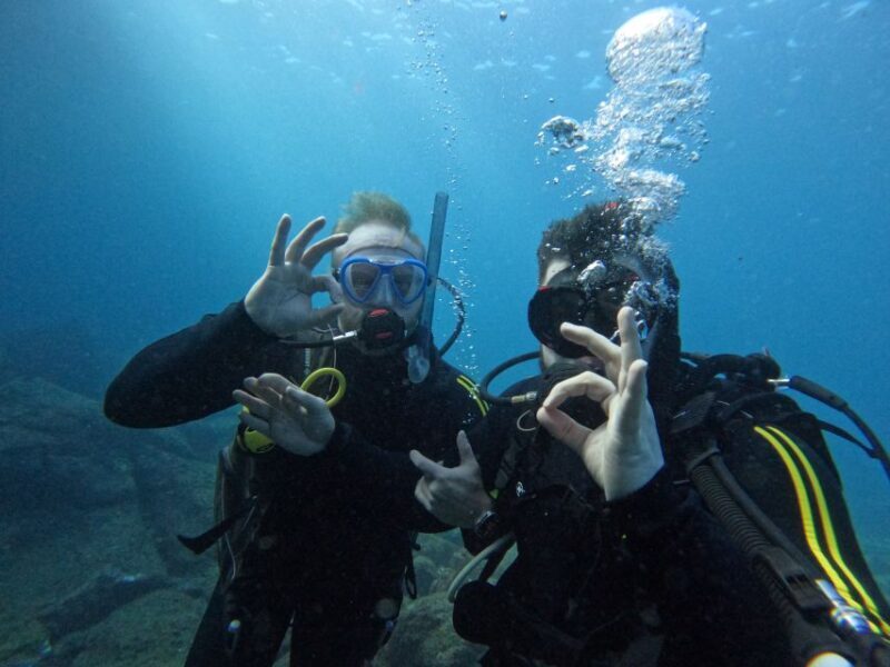 Scuba Diving trips for Certified Divers in Tenerife - What Makes This Dive Trip Stand Out