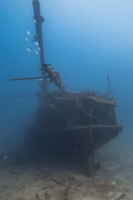 Scuba Diving trips for Certified Divers in Tenerife - FAQ