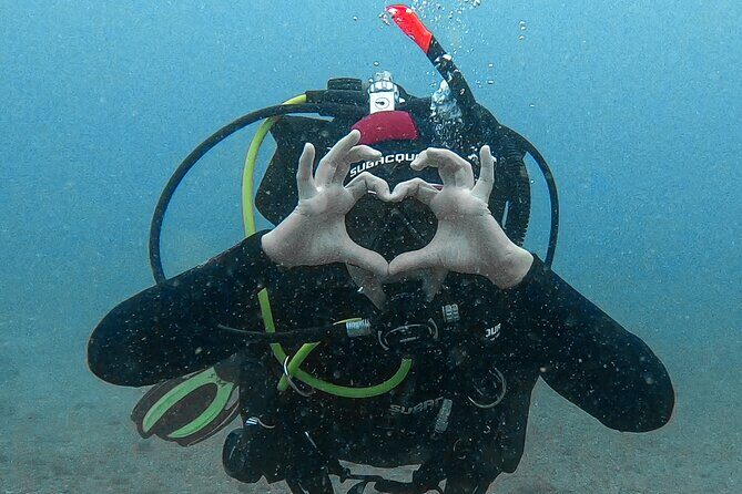 Scuba Diving try dive in Fuerteventura - Key Points