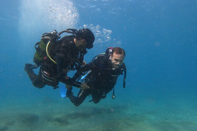 Scuba Diving try dive in Fuerteventura - The Itinerary: What to Expect From Start to Finish