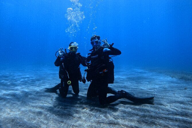 Scuba Experience in Tenerife with Guide - Key Points
