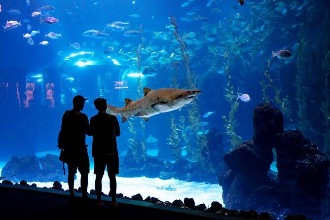 Sea and Mountain Full Day Tour with Lunch - Practical Considerations