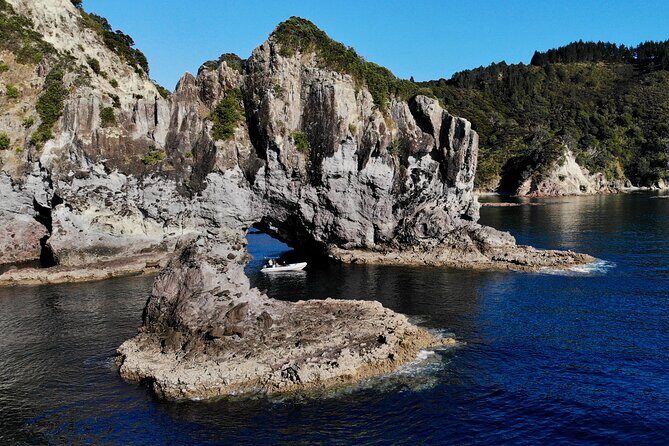 Sea Cave Adventures in the Coromandel - Final Thoughts: Is It Worth It?