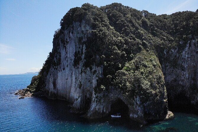 Sea Cave Adventures in the Coromandel - FAQs About Sea Cave Adventures in the Coromandel