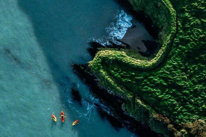 Sea Cave Kayaking Experience - Who Will Enjoy This Tour?