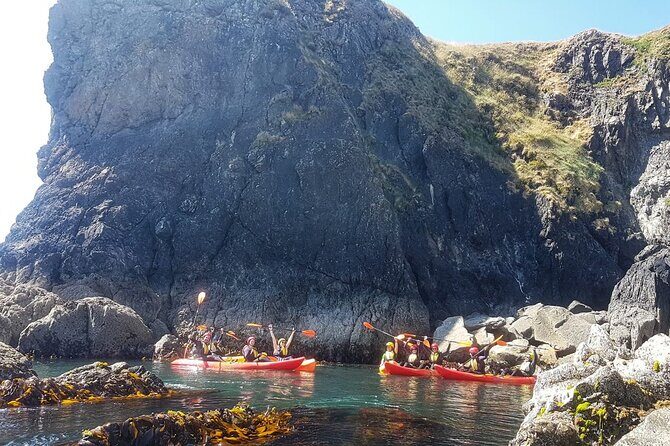 Sea Cave Kayaking Experience - Final Thoughts