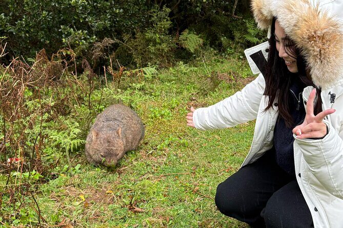 Sea Cliff Bridge, Kiama Blowhole, Beaches & Wildlife Small Group - What’s Included and What’s Not