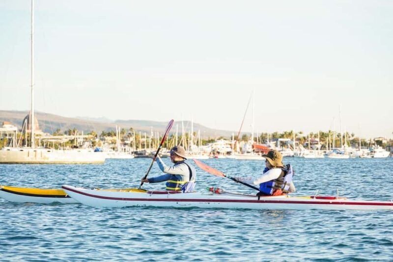 Sea Kayak Tour - Mangrove Safari - FAQs