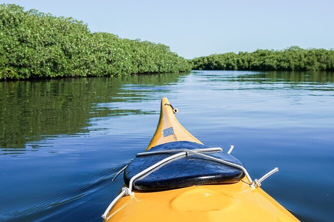 Sea Kayak Tour Mangrove Safari - An Honest Look at the Sea Kayak Mangrove Safari