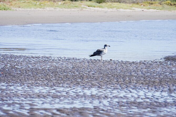 Sea Kayak Tour Mangrove Safari - FAQ