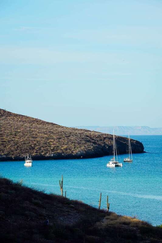 Sea Kayak Tour - Marine Safari - Key Points