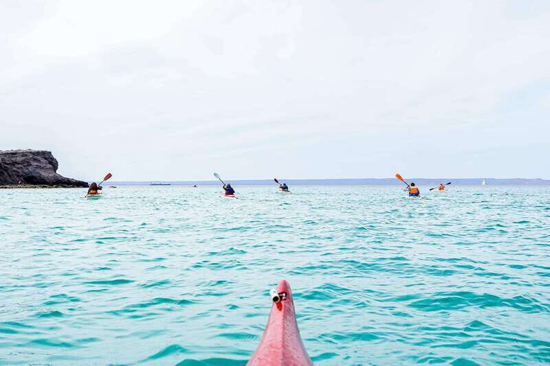 Sea Kayak Tour - Marine Safari - Pricing and What You Get for $120