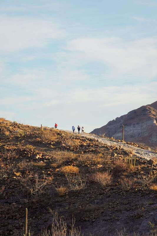 Sea Kayak Tour - Marine Safari - Practical Tips for the Tour