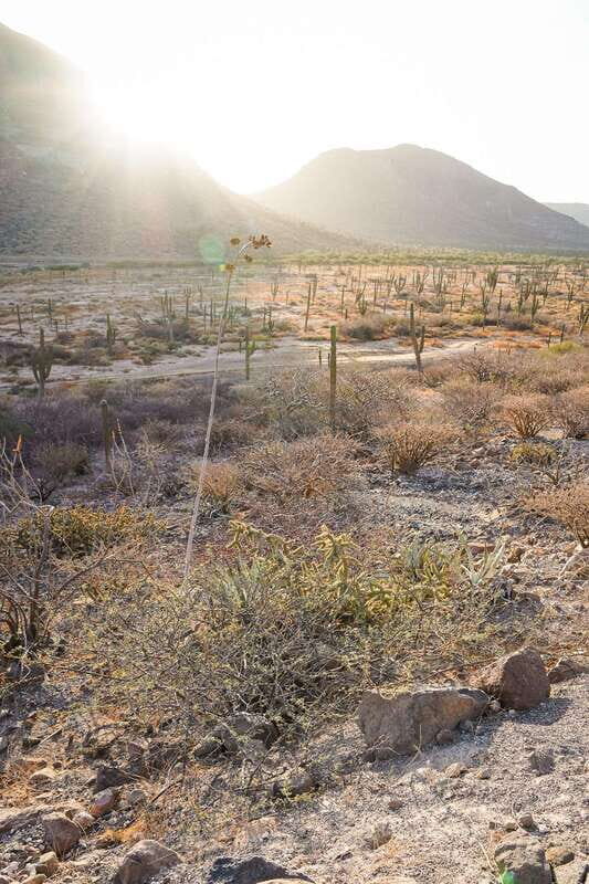 Sea Kayak Tour - Marine Safari - Frequently Asked Questions