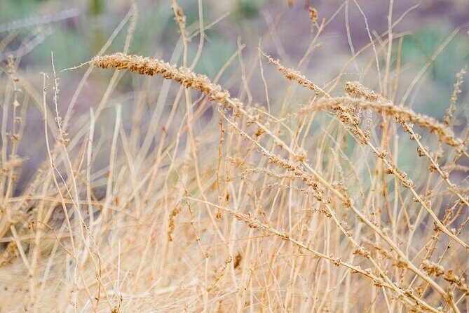 Sea Kayak Tour Marine Safari - The Experience from Real Travelers