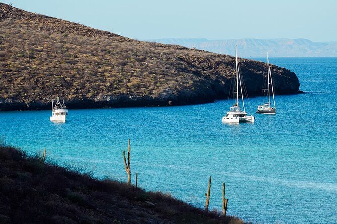 Sea Kayak Tour Marine Safari - The Sum Up: Who Will Love This Tour?