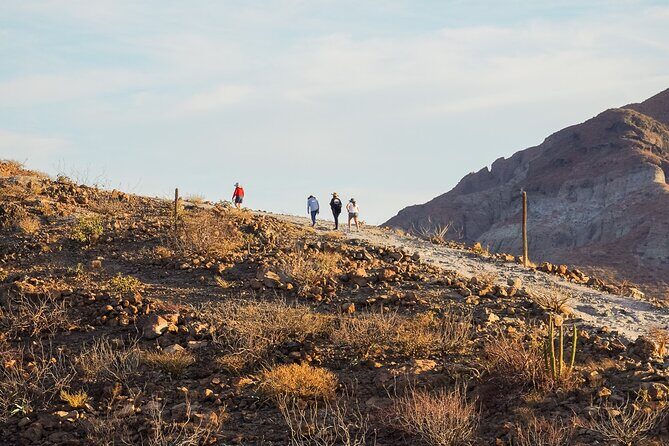 Sea Kayak Tour Marine Safari - FAQ