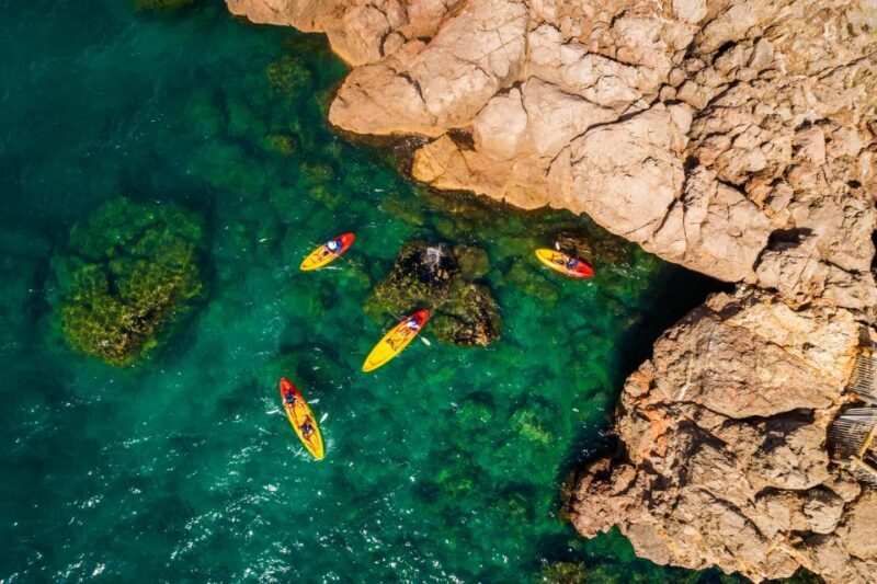 Sea kayak tour: Sète, the French pearl of the Mediterranean - Who Should Consider This Tour?