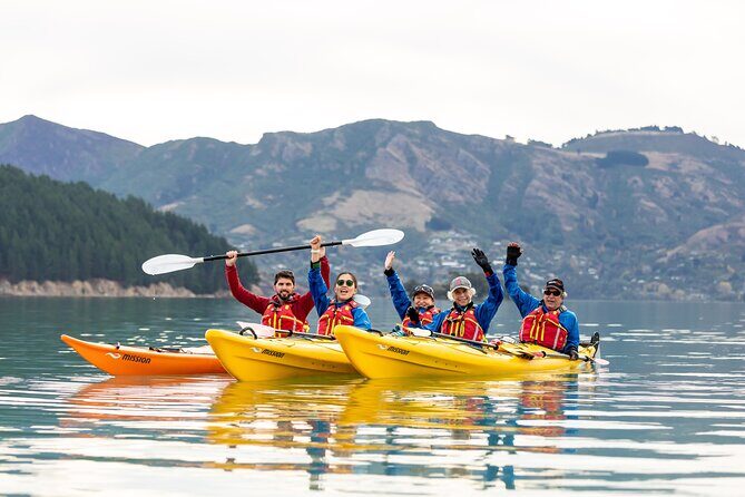 Sea Kayaking Christchurch, Lyttelton Harbour & Quail Island - Key Points