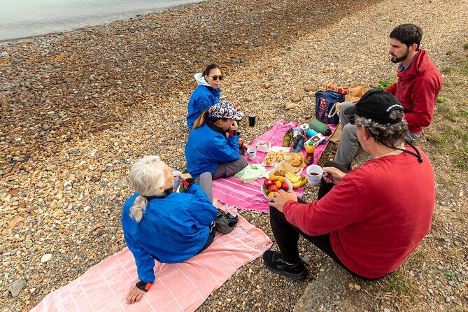 Sea Kayaking Christchurch, Lyttelton Harbour & Quail Island - Who Will Enjoy This Tour?
