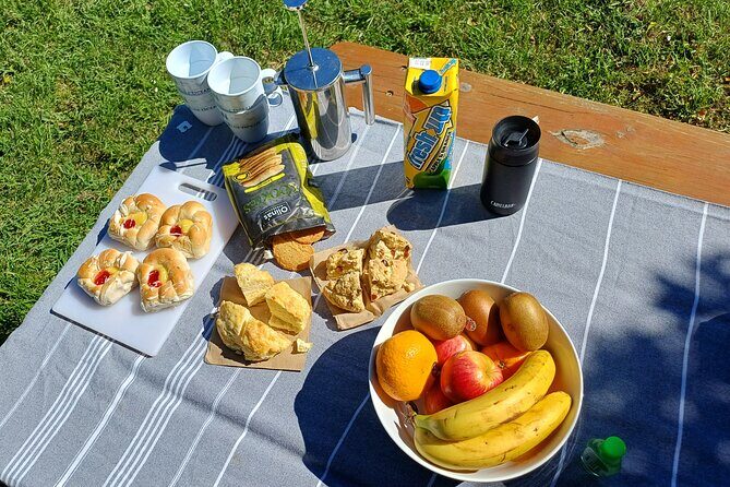 Sea Kayaking Christchurch, Lyttelton Harbour & Quail Island - Final Thoughts