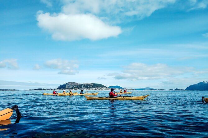 Sea Kayaking In Ålesund - Key Points  
