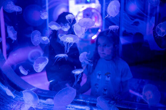 SEA LIFE Birmingham Admission Ticket - FAQ