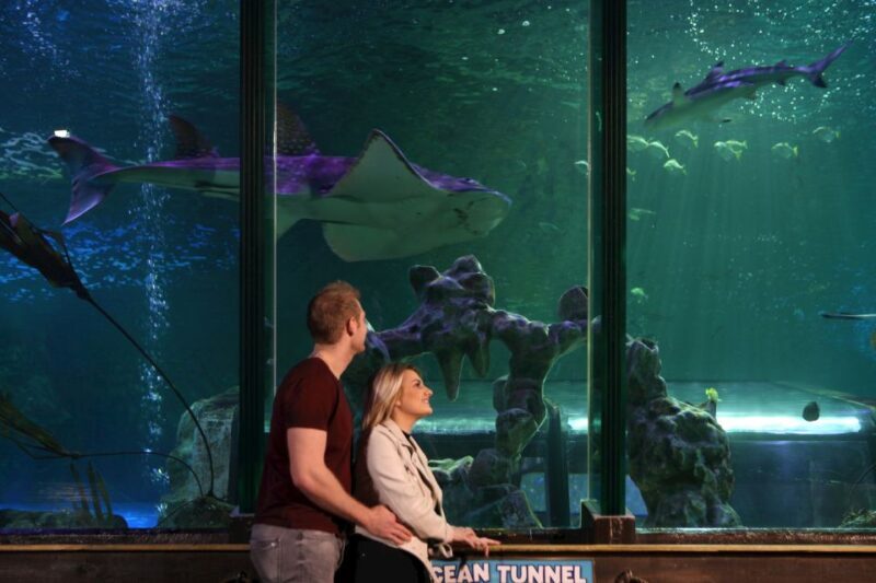 SEA LIFE Blackpool Entrance Ticket - The Bottom Line: Is SEA LIFE Blackpool Worth It?