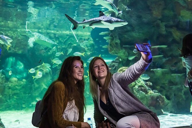 SEA LIFE Brighton Admission Ticket - Who Will Love This Experience?