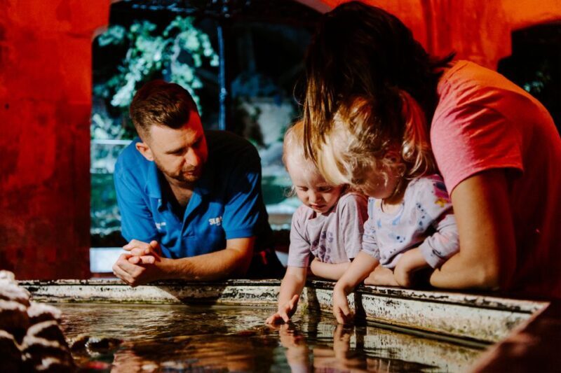 Sea Life Brighton Admission Ticket - A Deep Dive into the Experience