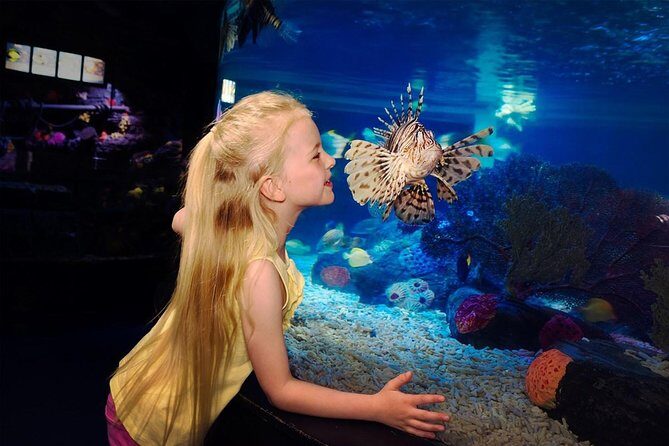 SEA LIFE Great Yarmouth General Admission - What to Expect from Your Visit at SEA LIFE Great Yarmouth