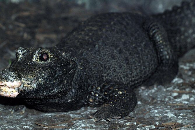 SEA LIFE Great Yarmouth General Admission - FAQ