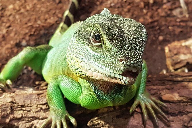 SEA LIFE Hannover Ticket - Key Points