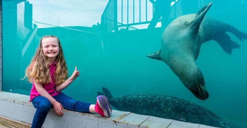 Sea Life Hunstanton - An In-Depth Look at Sea Life Hunstanton