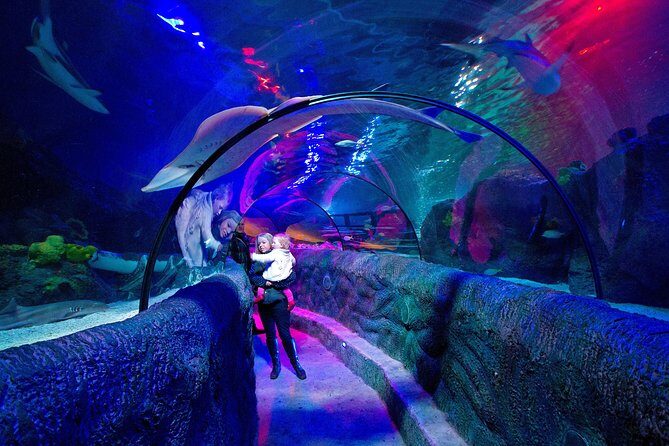 SEA LIFE Loch Lomond General Admission Ticket - What to Expect at SEA LIFE Loch Lomond