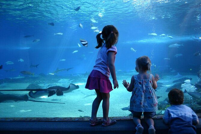 SEA LIFE Munich Admission Ticket - Key Points  