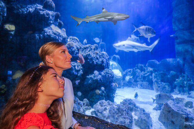 SEA LIFE Munich Admission Ticket - An In-Depth Look at the Experience