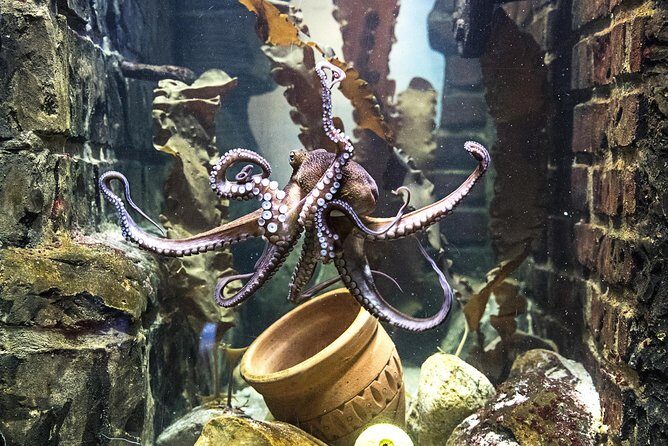 SEA LIFE Oberhausen Admission Ticket - Detailed Look at the Itinerary