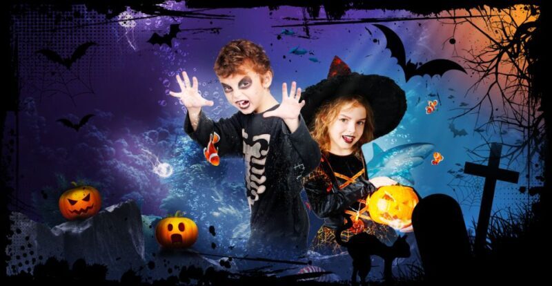 SEA LIFE Paris: Admission Ticket - Key Points