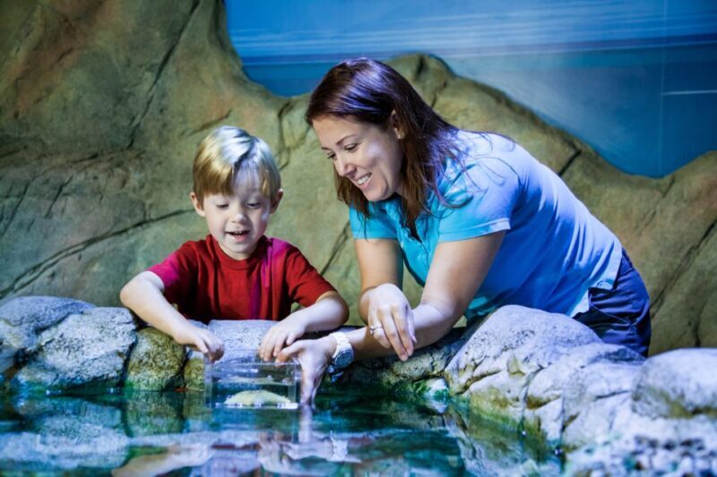 SEA LIFE Paris: Admission Ticket - Practicalities and Tips