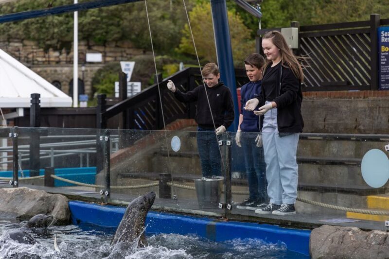 Sea Life Scarborough - Authentic Experiences & Visitor Insights