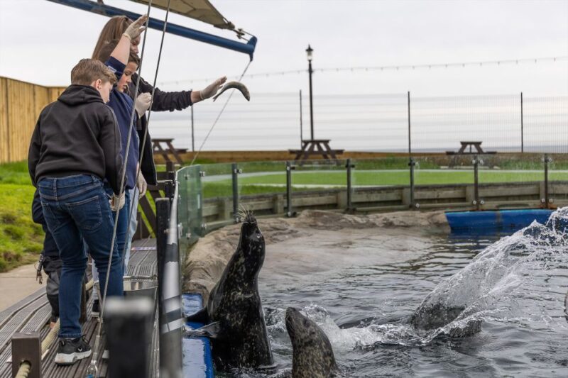 Sea Life Scarborough - Overall Experience: Worth It or Not?