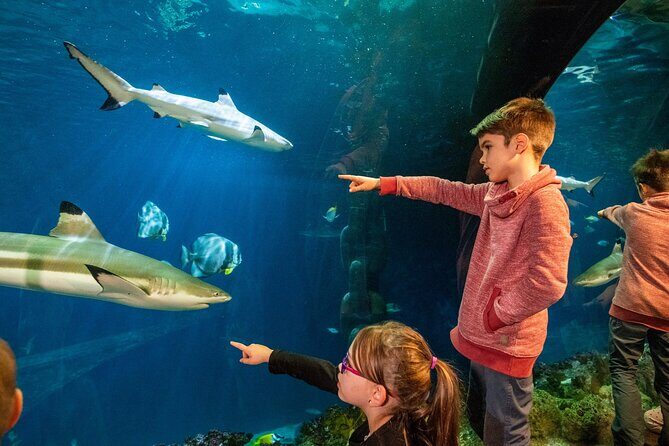 SEA LIFE Speyer Admission Ticket - Key Points