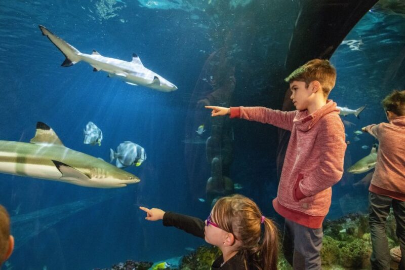 Sea Life Speyer Ticket - FAQs
