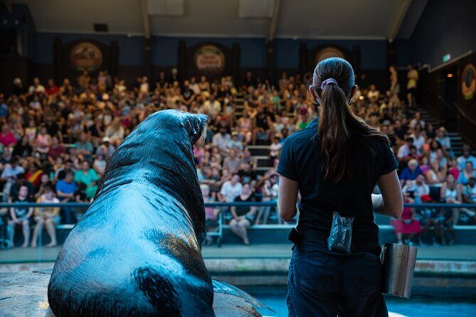 SEA LIFE Sunshine Coast Aquarium Entrance Ticket - Key Points