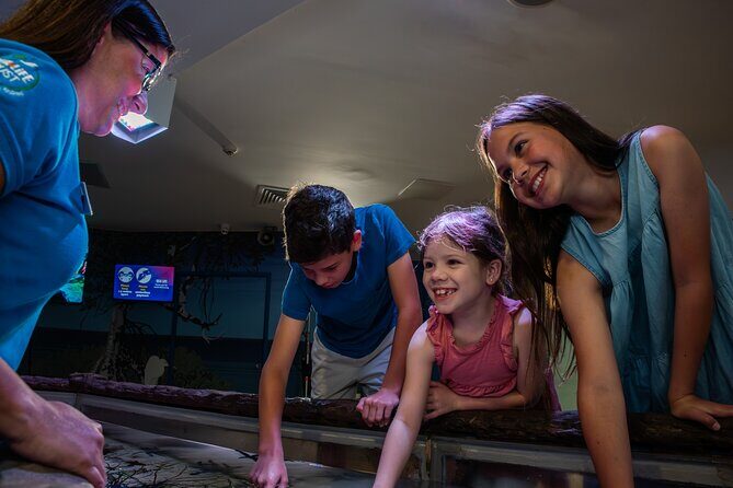 SEA LIFE Sunshine Coast Aquarium Entrance Ticket - The Sum Up