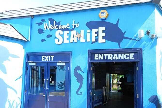 SEA LIFE Weymouth Admission Ticket - What to Expect at Weymouth SEA LIFE