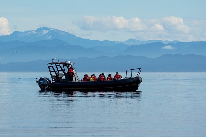 Sea Otter and Whale Watching Tour on Northern Vancouver Island - Practical Details for Travelers