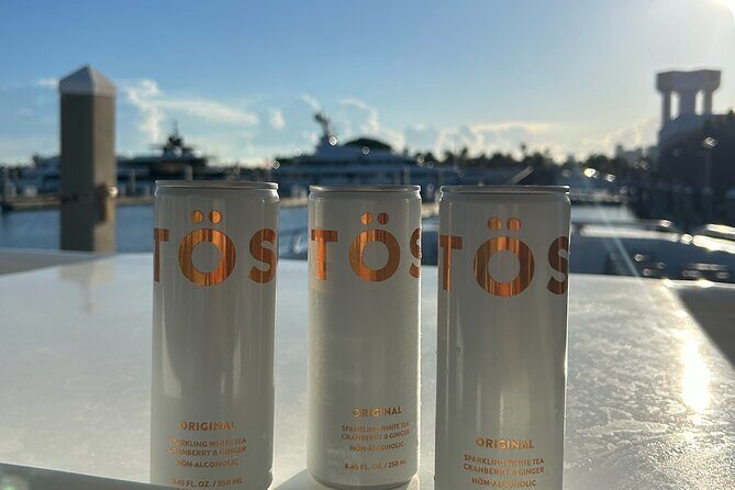 Sea Rocket 3 Hour Intracoastal and Sandbar Adventure - Who Will Love This Tour?